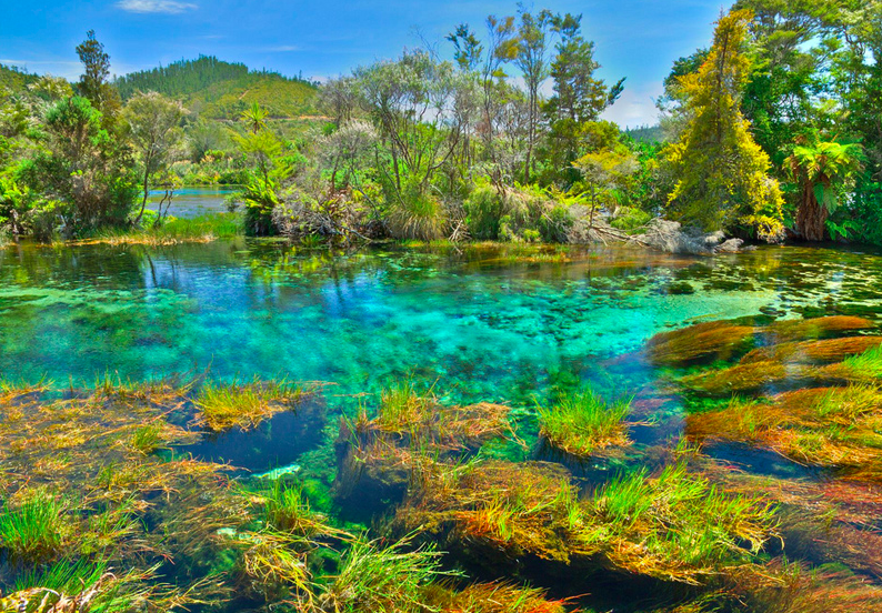 Najczystszym jeziorem na świecie jest "Blue Lake" w Nowej Zelandii ...